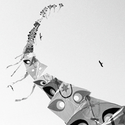 The Wave Group : India's Leading business conglomerate